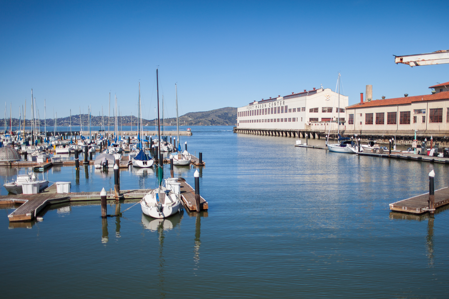 The Hivery is Expanding! | IFundWomen