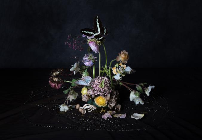 Hortophilia | IFundWomen