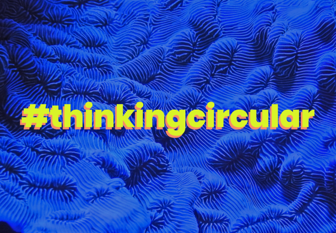 Sustaio™️ App | The Sustainable Lifestyle Guide | IFundWomen