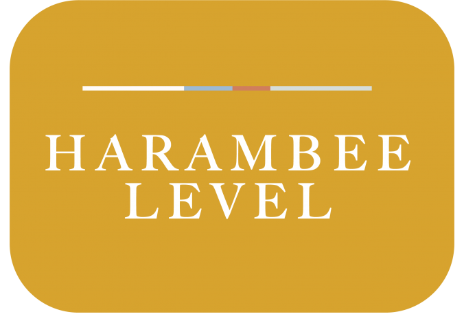 Harambee Birth & Family Center (HBFC) | IFundWomen